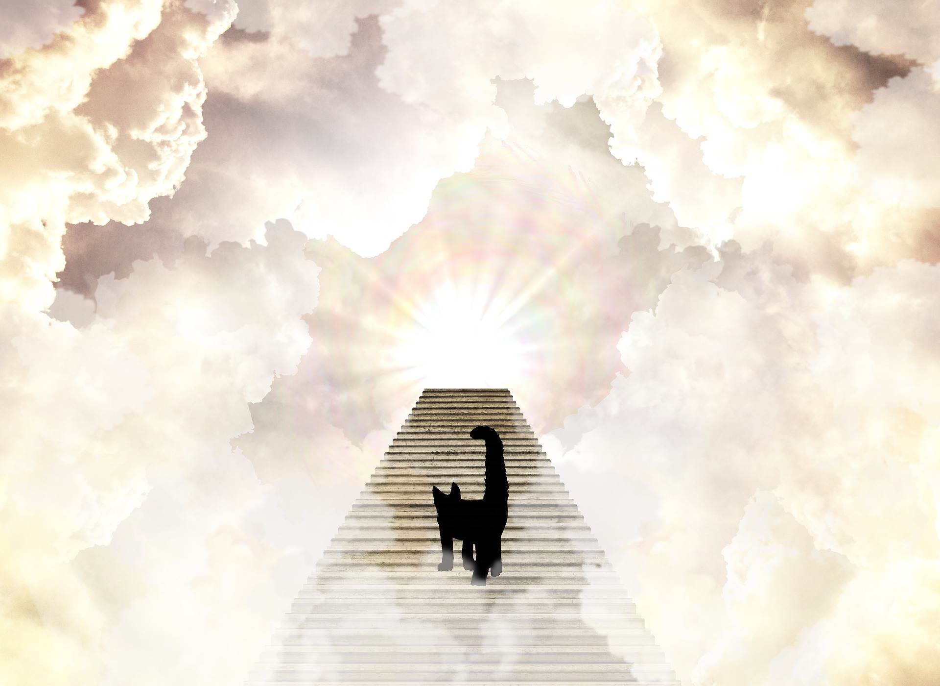 Rainbow Bridge (Part 1) - Living With Spirit